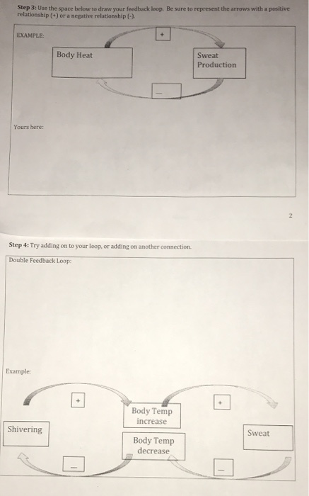 Solved Step 3: Use the space below to draw your feedback | Chegg.com