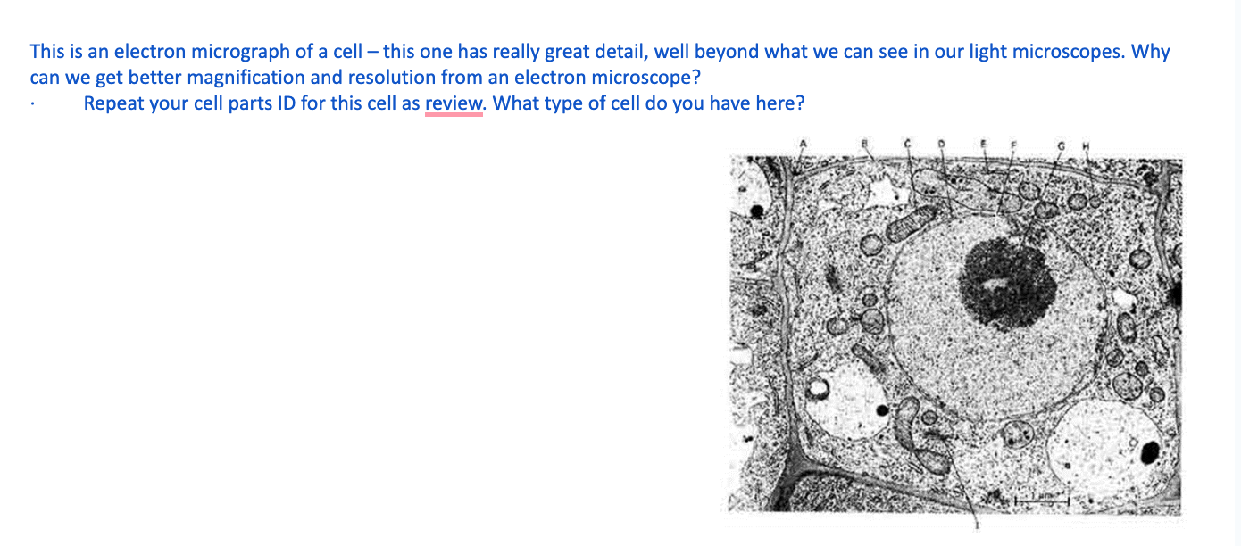 Solved This is an electron micrograph of a cell - this one | Chegg.com