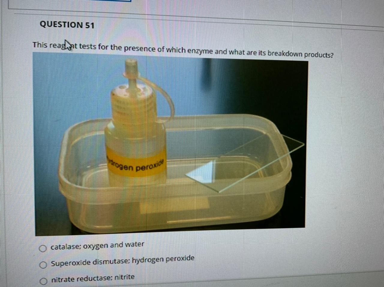 Solved QUESTION 46 These are nitrate broth tubes. Examine | Chegg.com