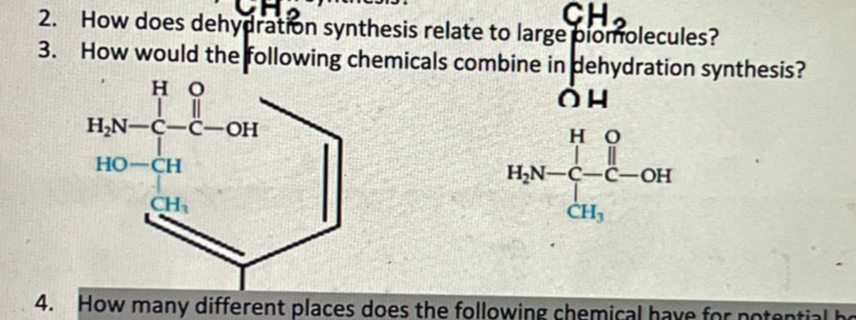 Solved 2. How does dehy fration synthesis relate to large | Chegg.com