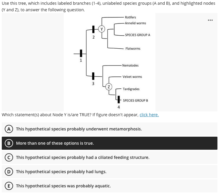 Solved Use this tree, which includes labeled branches (1-4), | Chegg.com