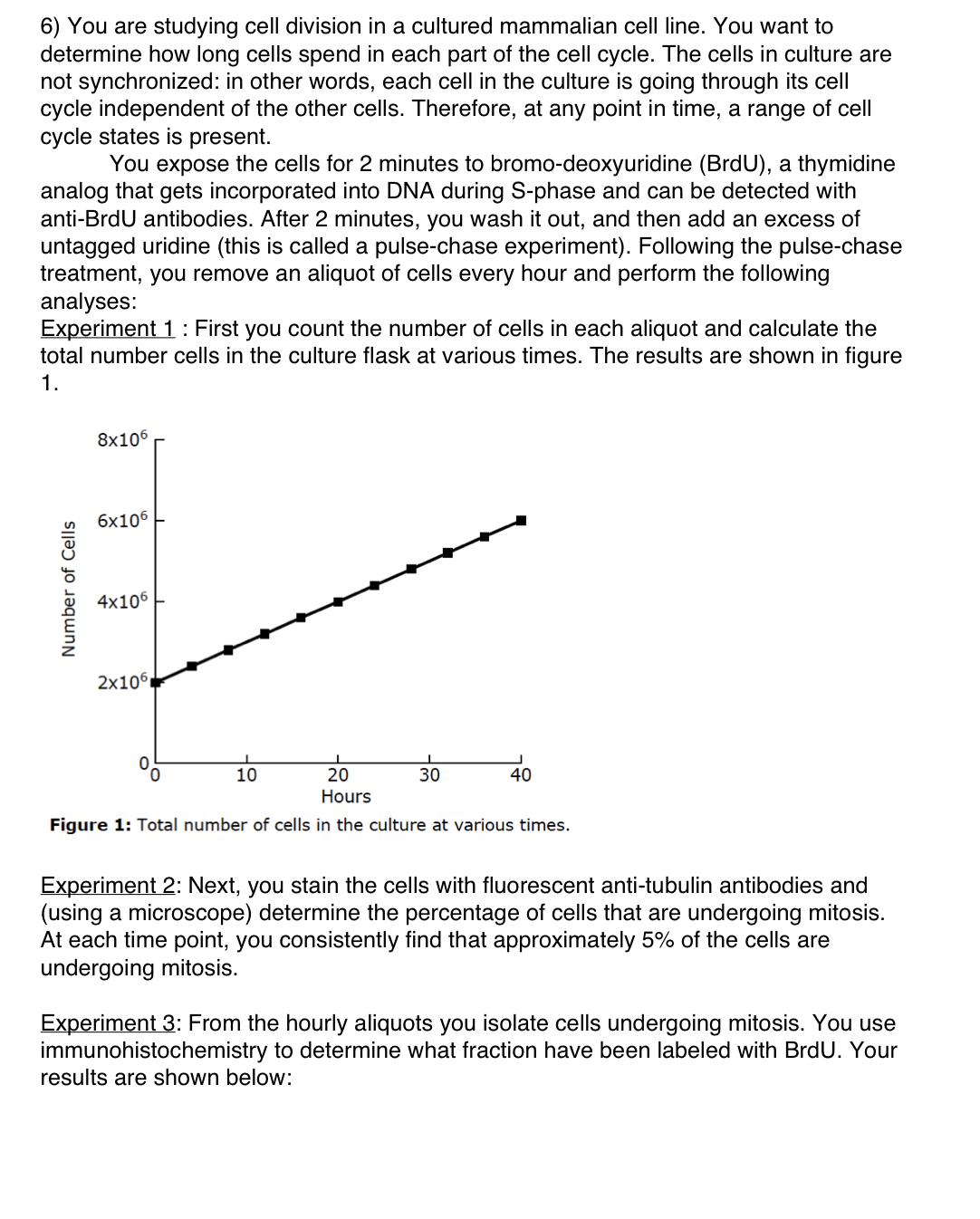 Solved 6) You are studying cell division in a cultured | Chegg.com