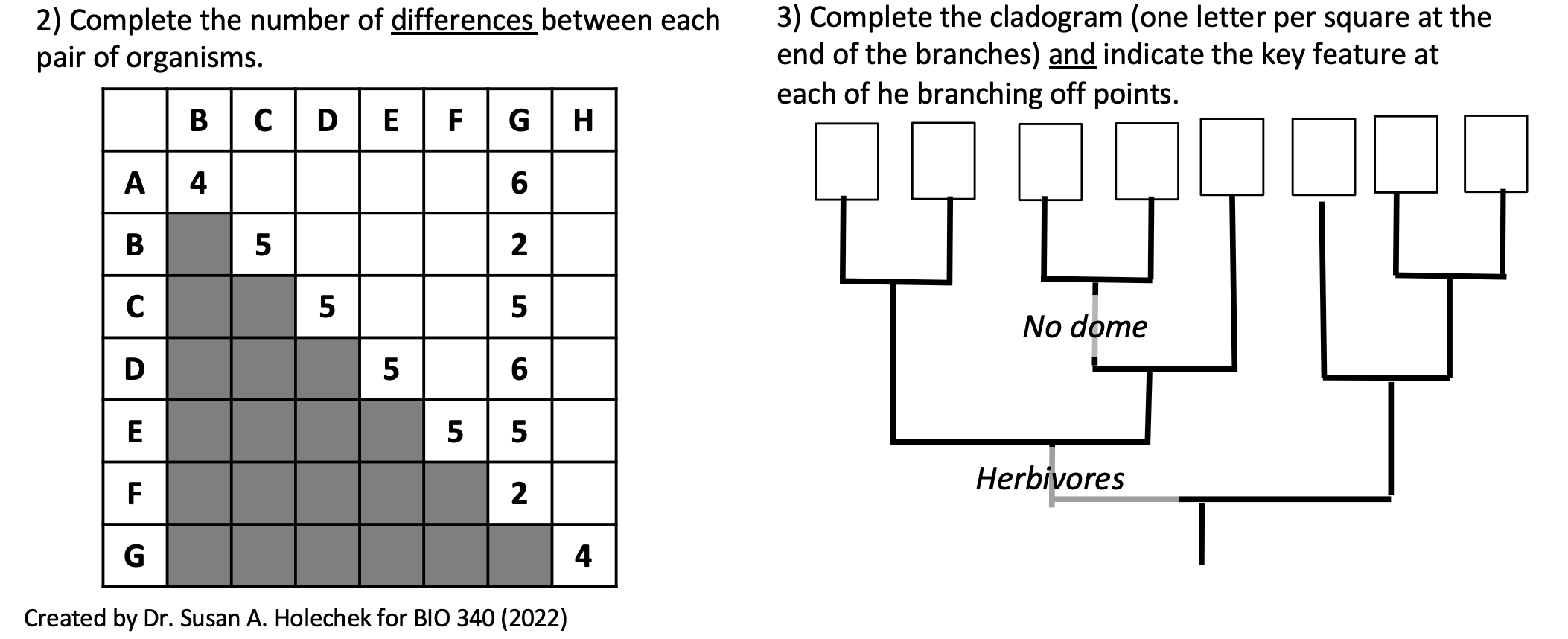 Solved BIO 340 Activity #2: Constructing Cladograms. Part | Chegg.com