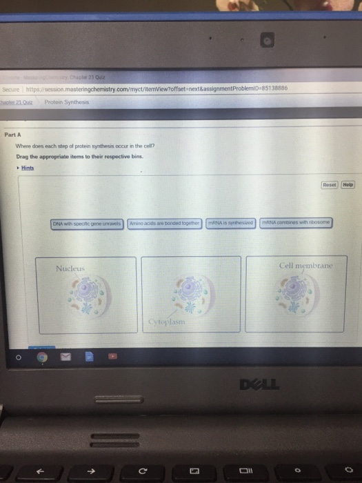 Solved Secure https//session ma com/myct/itemView?offset | Chegg.com