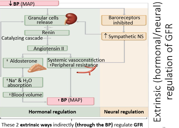 Solved please use the chart to answer the question Explain 2 | Chegg.com