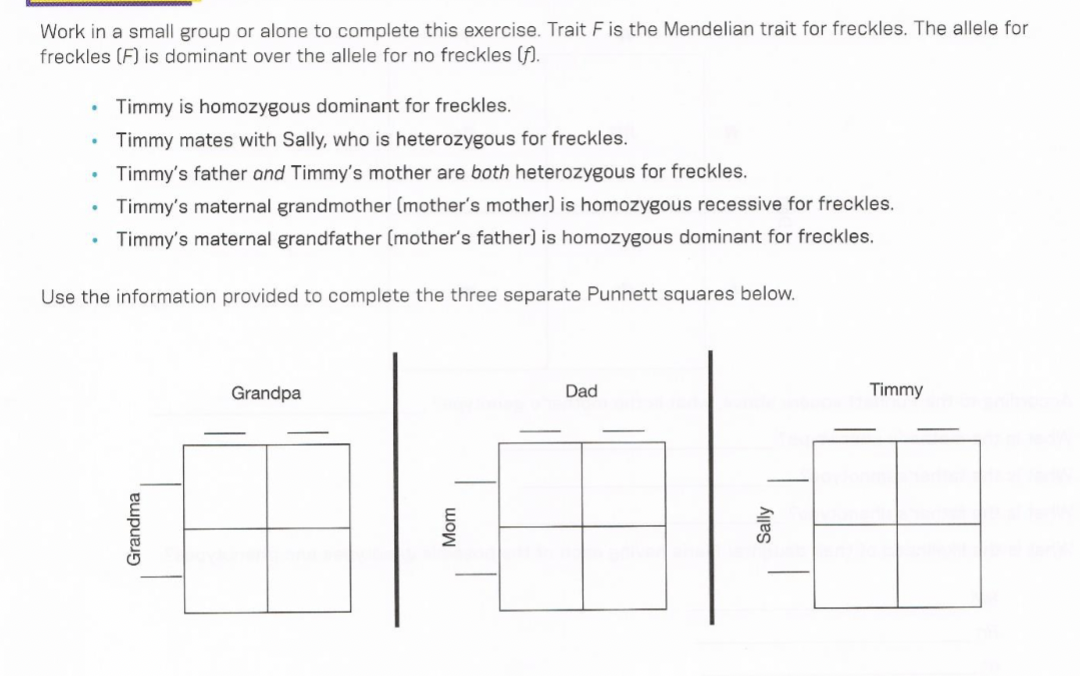 Solved Timmy was homozygous dominant for the freckles trait. | Chegg.com