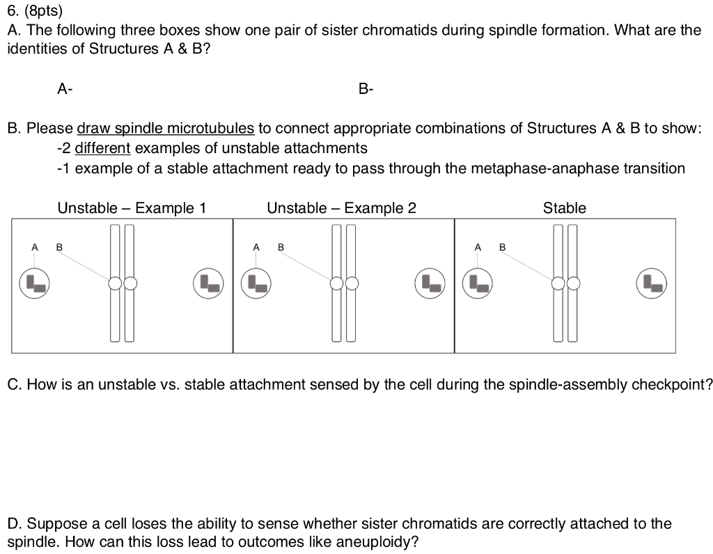 Solved 6. (8pts) A. The following three boxes show one pair | Chegg.com