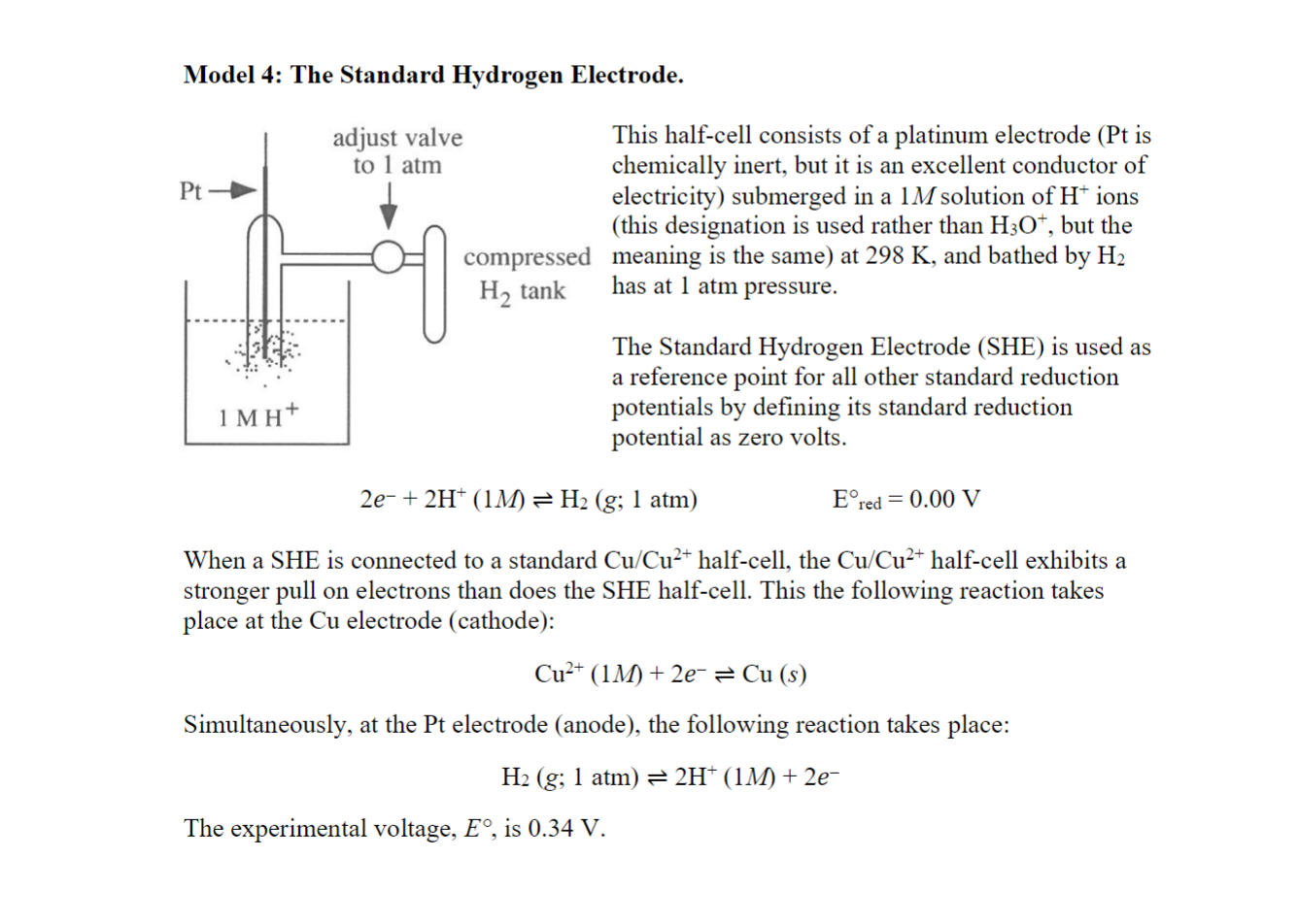 Solved Model 4: The Standard Hydrogen Electrode. This | Chegg.com