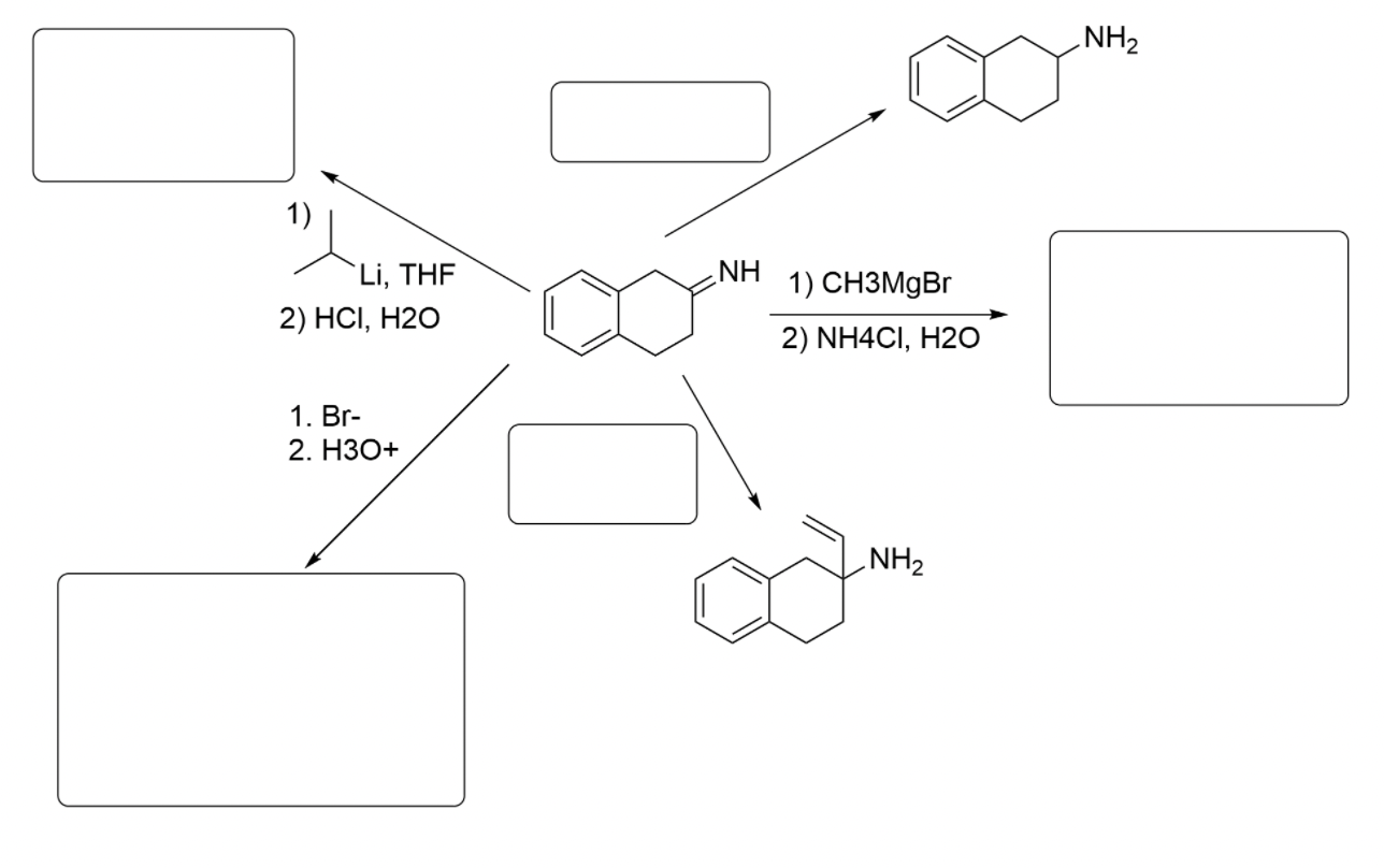 Solved NH2 1) NH LI, THE 2) HCI, H2O 1) CH3MgBr 2) NH4CI, | Chegg.com
