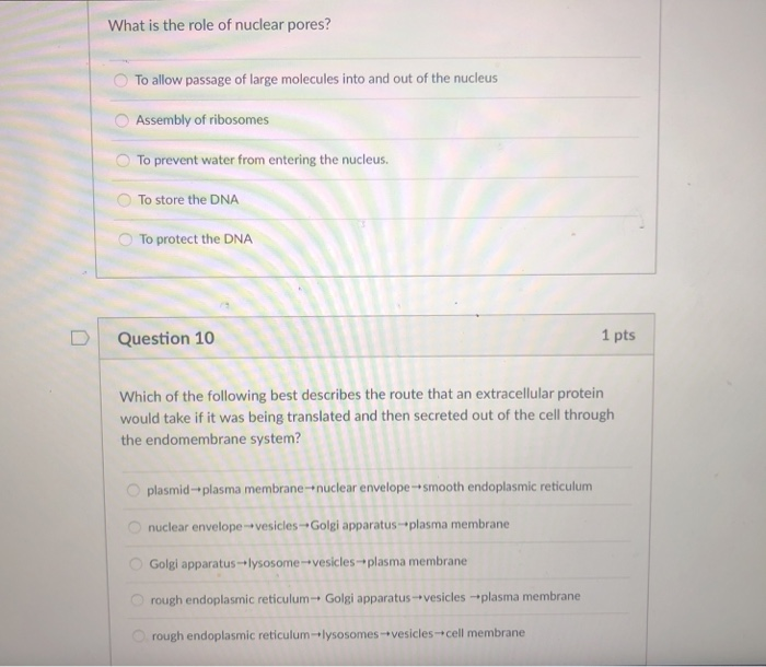Solved Question 5 1 pts Based on subcellular structures of | Chegg.com