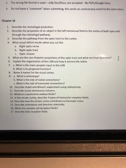 Solved 5. The wrong file format is used- only Doc/Docx, are | Chegg.com