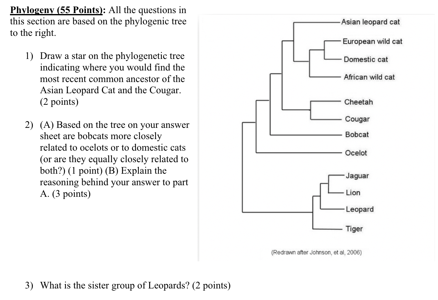 Solved Phylogeny (55 ﻿Points): All the questions inthis | Chegg.com