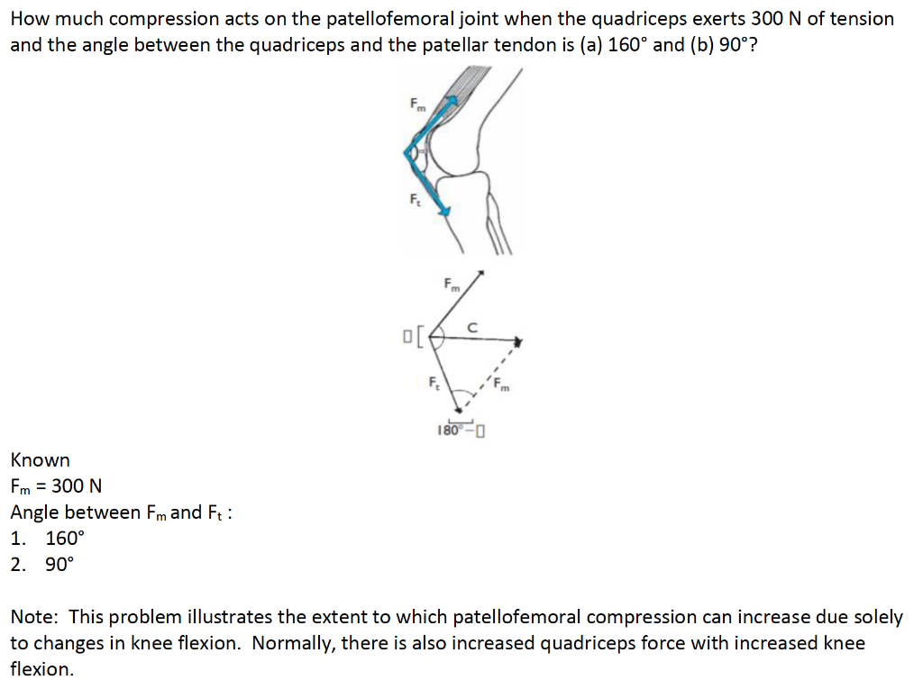 Solved How much compression acts on the patellofemoral joint | Chegg.com