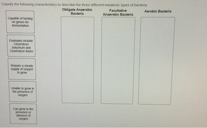 Solved Classify the following characteristics to describe | Chegg.com