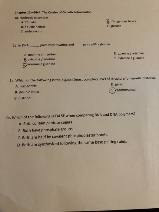 Solved Chapter 12-DNA: The Carrier of Genetic Information | Chegg.com