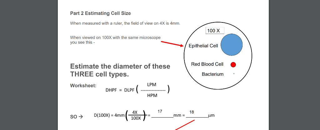 Solved When measured with a ruler, the field of view on 4X | Chegg.com