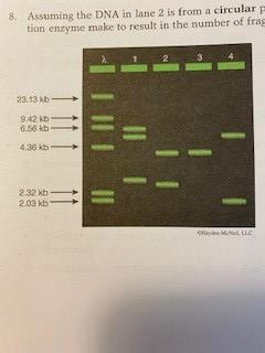 Solved Explain how the mobile and stationary phases | Chegg.com