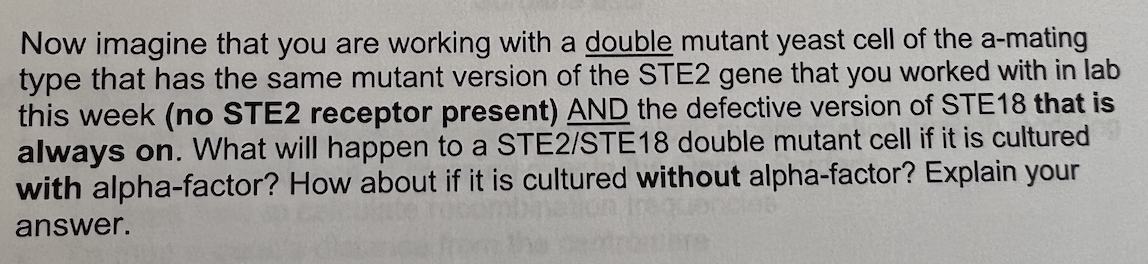 Solved Now imagine that you are working with a double mutant | Chegg.com
