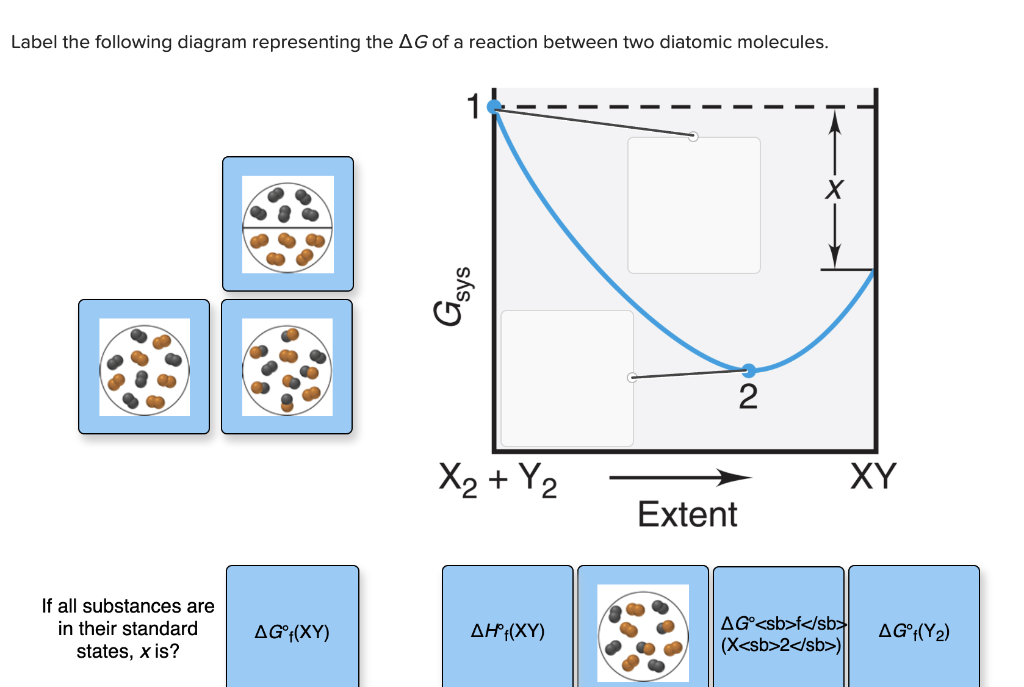 Solved Label the following diagram representing the AG of a | Chegg.com