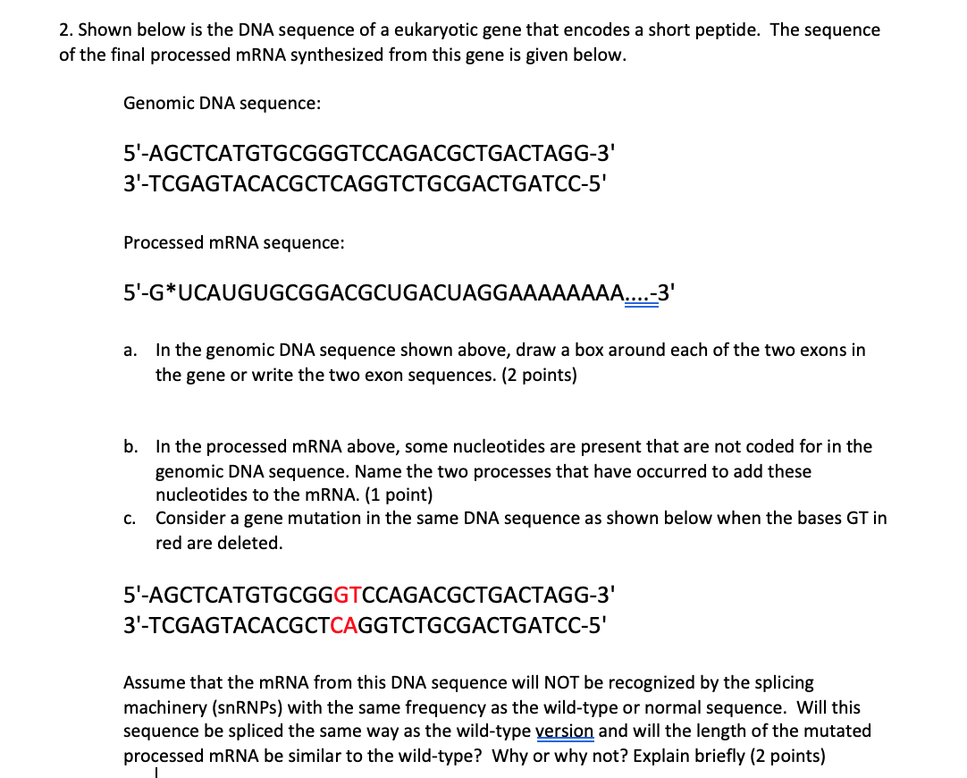 Solved own below is the DNA sequence of a eukaryotic gene | Chegg.com
