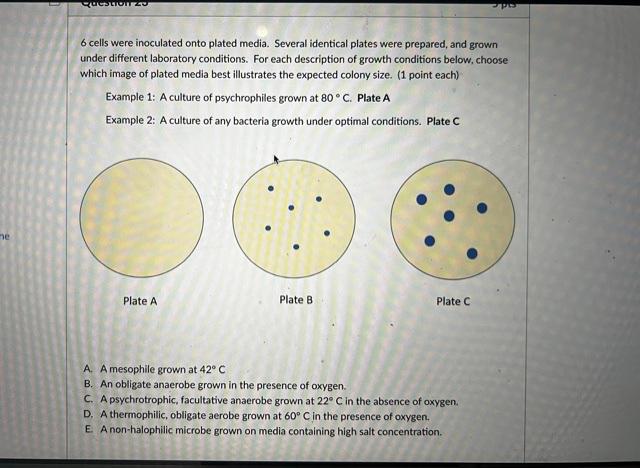 Solved 6 cells were inoculated onto plated media. Several | Chegg.com