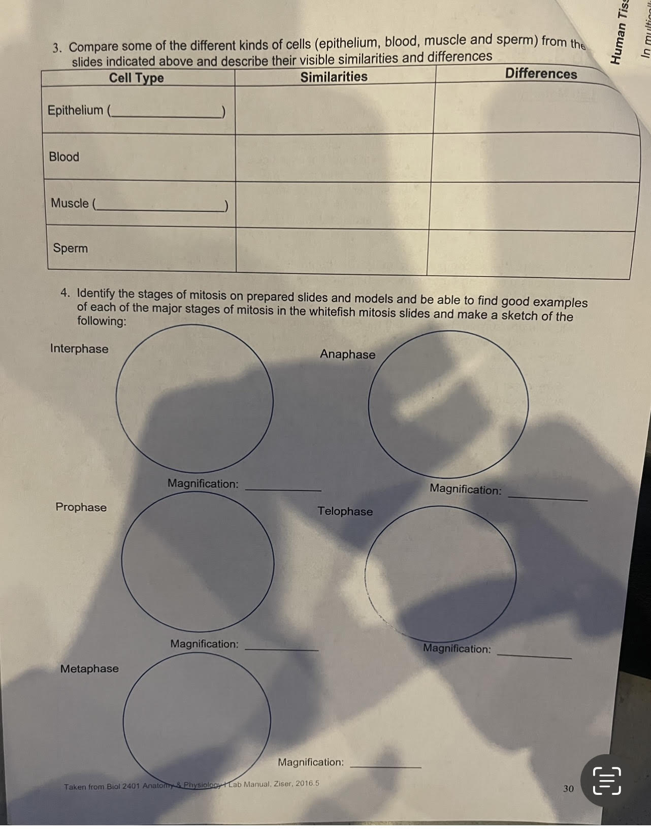 1. Study the cell model and identify the following | Chegg.com