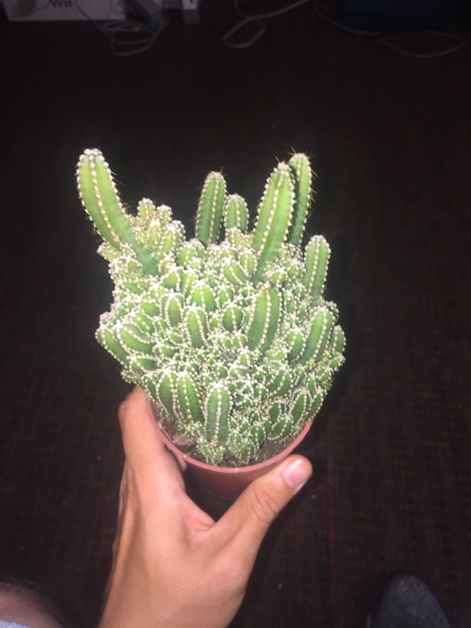 Solved w | Chegg.com