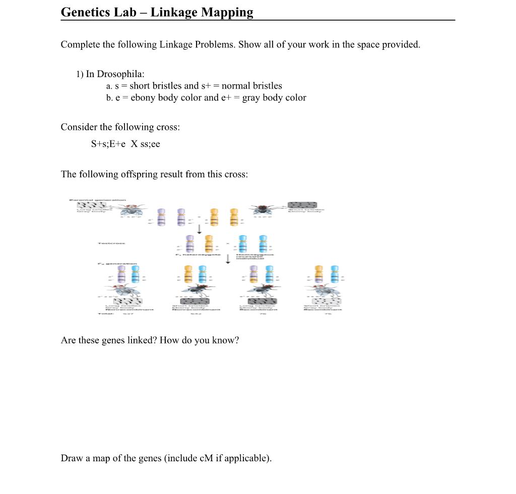 Solved Complete the following Linkage Problems. Show all of | Chegg.com