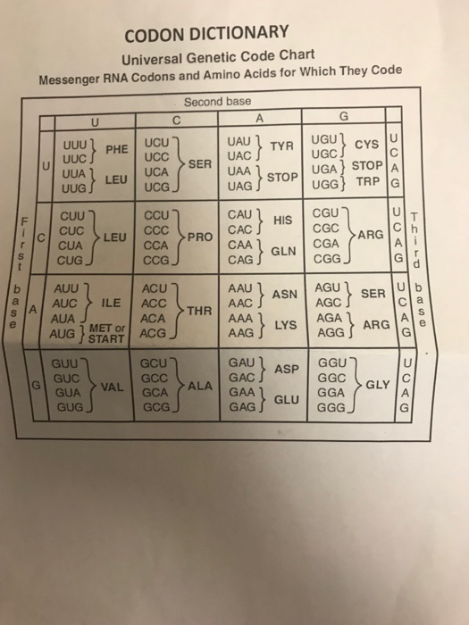 Solved Extra Credit 2 (6 points) A. Using the codon | Chegg.com