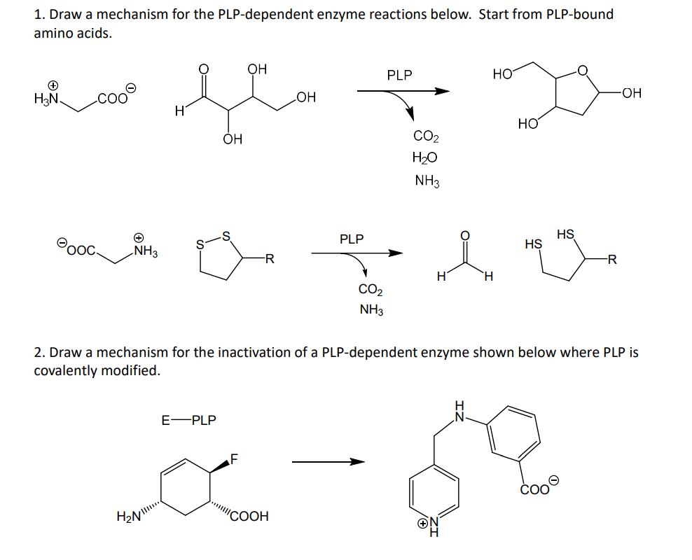 Solved 1. Draw a mechanism for the PLP-dependent enzyme | Chegg.com