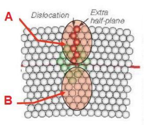 Solved Label the distortions in the shaded areas as being | Chegg.com