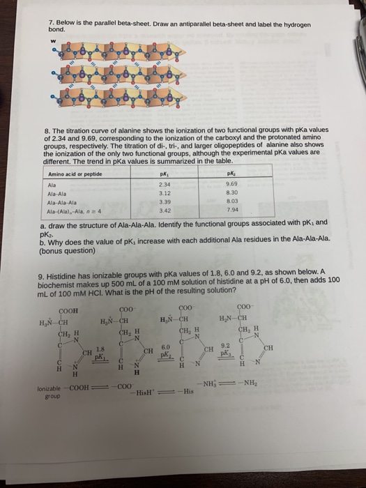 Solved 7. Below is the parallel beta-sheet. Draw an | Chegg.com