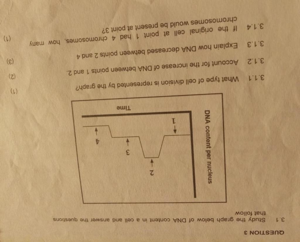 Solved QUESTION 3 3.1 Study the graph below of DNA content | Chegg.com