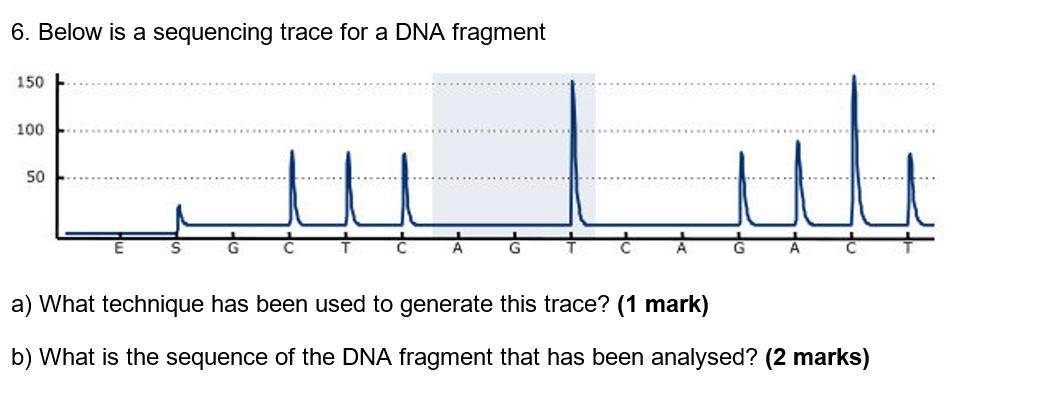 Solved 6. Below is a sequencing trace for a DNA fragment a) | Chegg.com