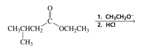 Solved C CH3CH2CH2 OCHZ 1. CH30 2. HCI 1. CH3CH2O 2. HCI | Chegg.com