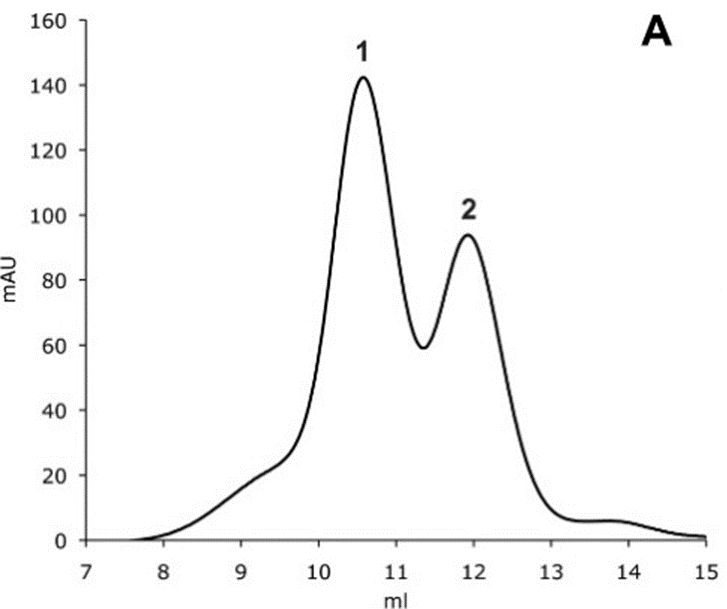 Solved You ran size-exclusion chromatography with a s75 | Chegg.com