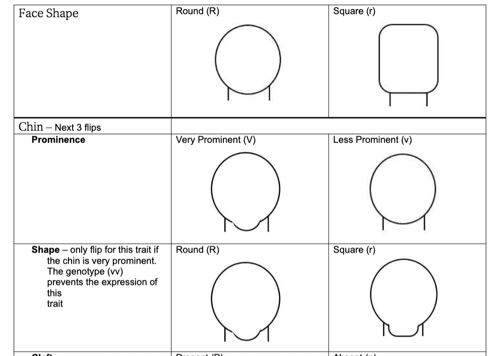 Solved Lab Genetics Let's Make a Baby! Congratulations on | Chegg.com