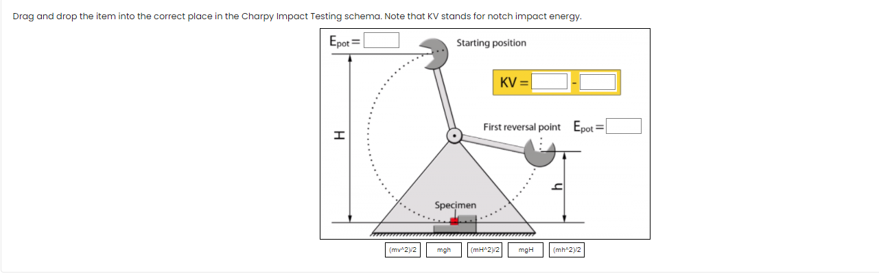 Solved Drag and drop the item into the correct place in the | Chegg.com