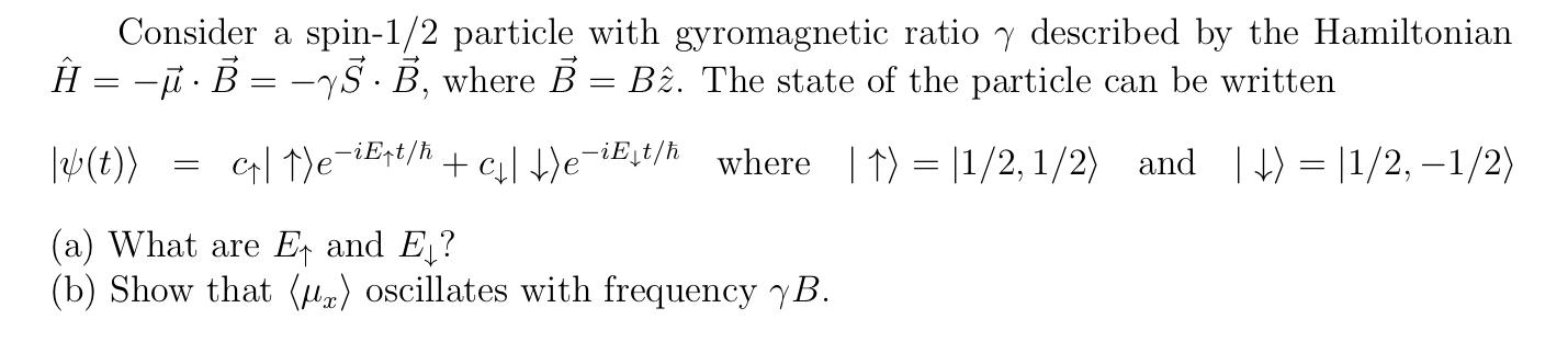 Solved Consider a spin- 1/2 particle with gyromagnetic ratio | Chegg.com
