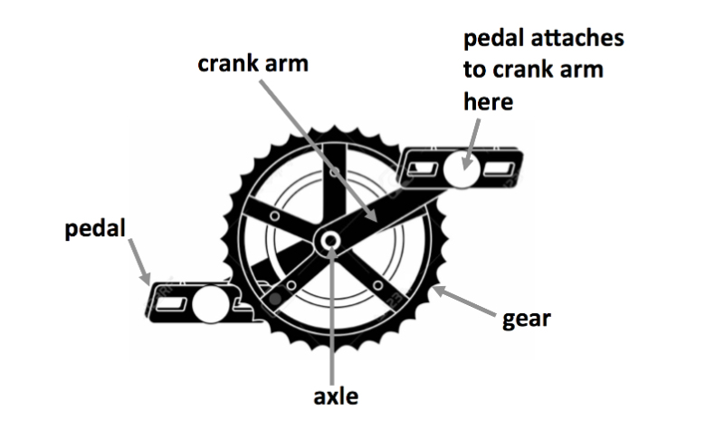 Solved For this problem, we're ignoring the bike chain | Chegg.com