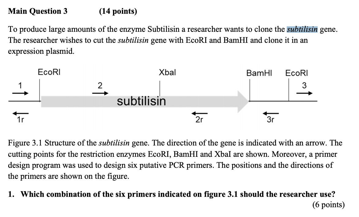 Solved Main Question 3 (14 points) To produce large amounts | Chegg.com
