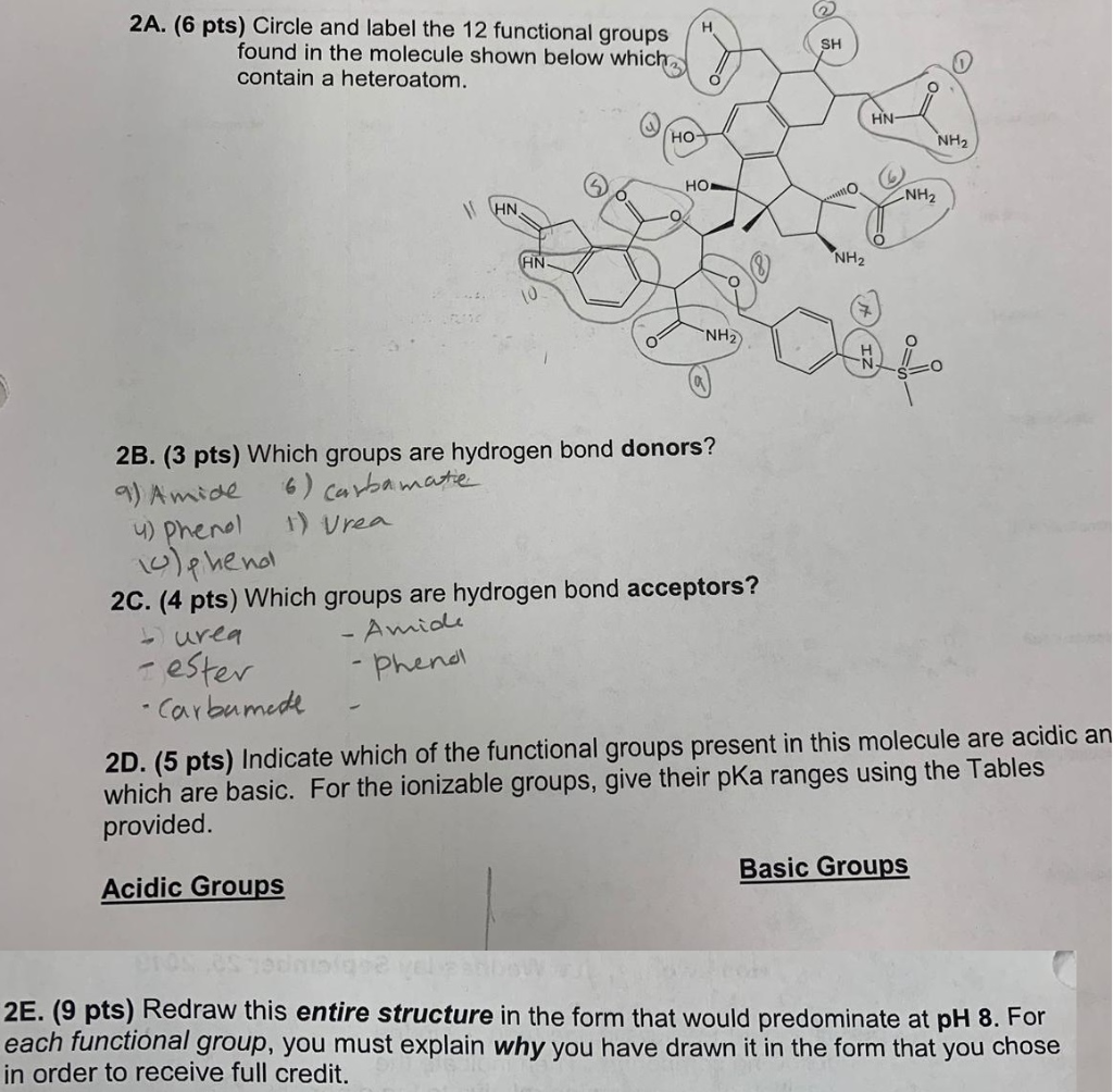 2A. (6 pts) Circle and label the 12 functional | Chegg.com