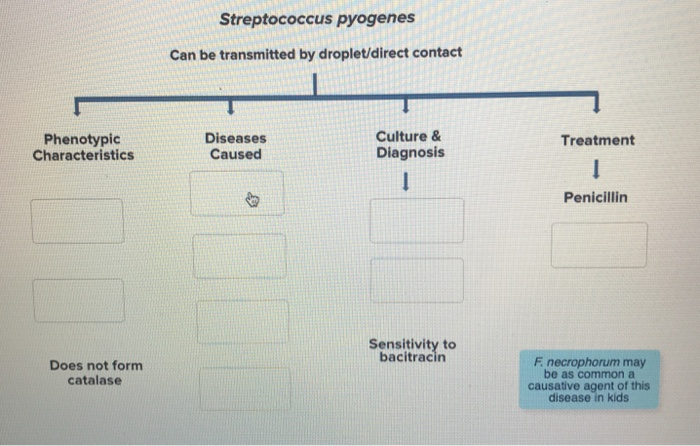 Solved Drag the labels to the correct category to | Chegg.com