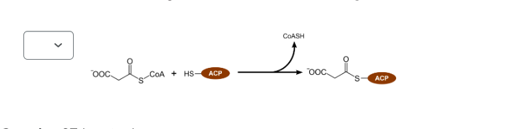 Solved For each reaction, identify the enzyme class. 1. EC4: | Chegg.com