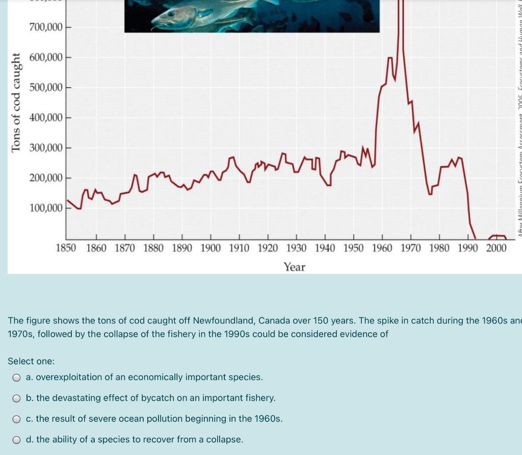 Solved 700,000 600,000 500,000 Tons of cod caught 400,000 | Chegg.com