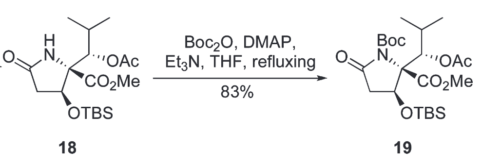 Solved Boc2O, DMAP, 83Et3 N,THF, refluxing 18 19 | Chegg.com
