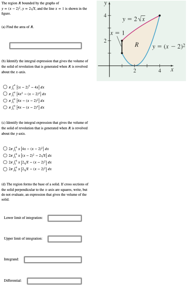 Solved у The region R bounded by the graphs of y = (x - 2)2, | Chegg.com