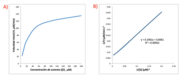 Solved The initial rate of an enzyme-catalyzed reaction | Chegg.com