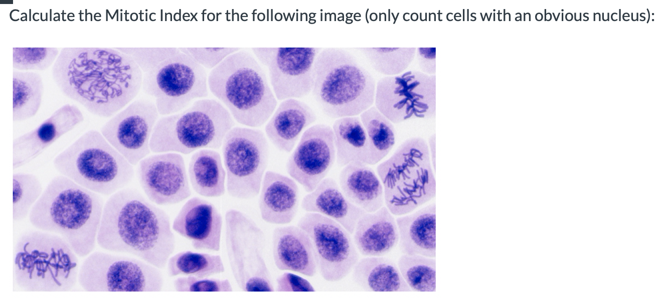 Solved Calculate the Mitotic Index for the following image | Chegg.com