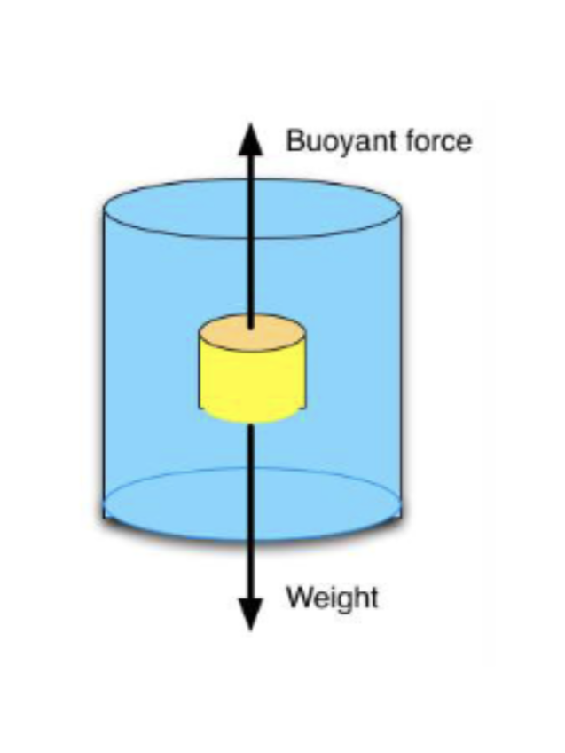 Solved ONE ANSWER ONLY PLEASEWhich of the following | Chegg.com